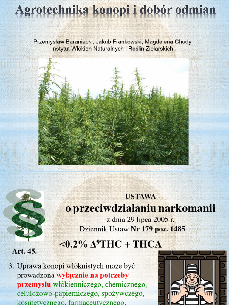 Agrotechnika Konopi I Dobor Odmian | PDF