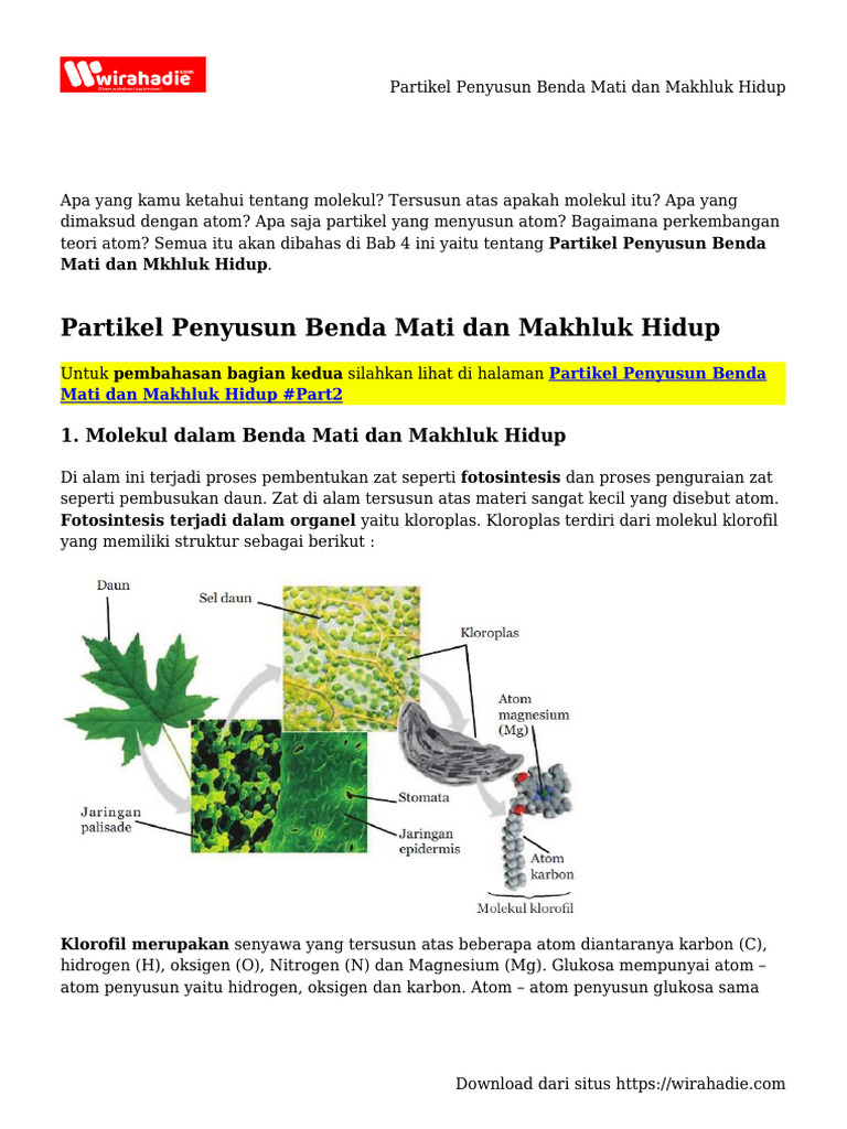 Partikel Penyusun Benda Mati dan Hidup | PDF