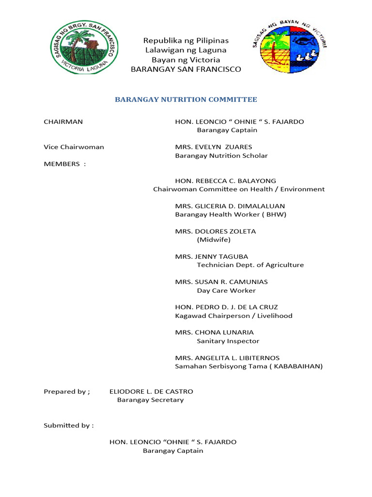 Barangay Nutrition Committee 2024 | PDF