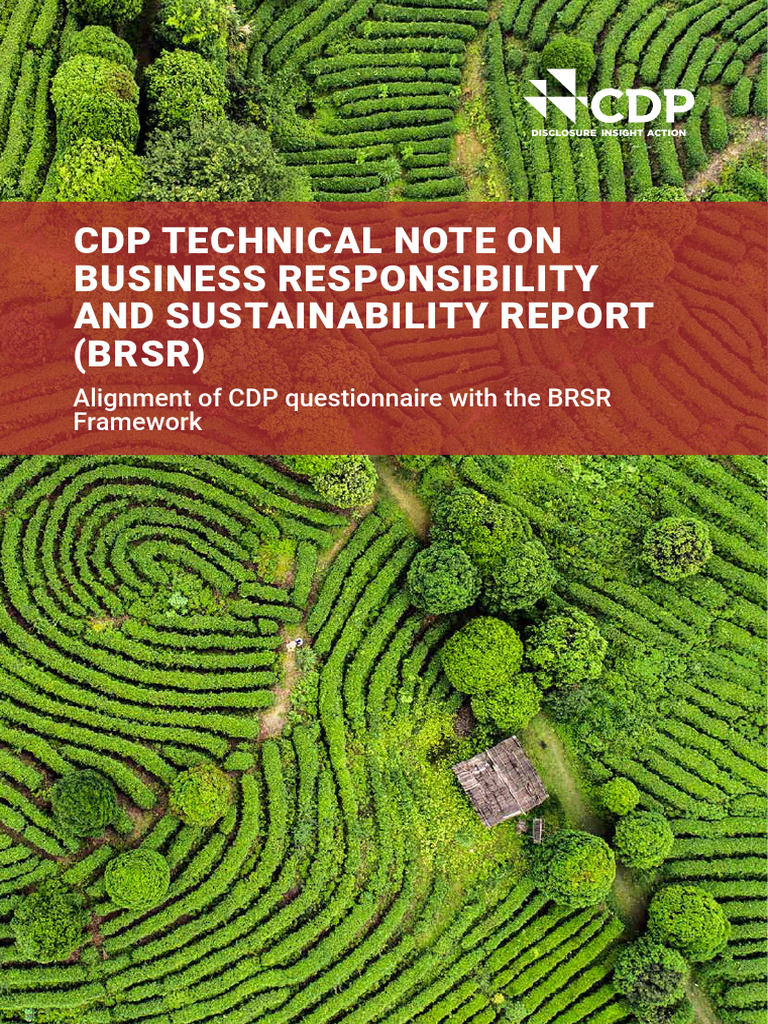 CDP BRSR Report LowRes | PDF | Sustainability | Economies