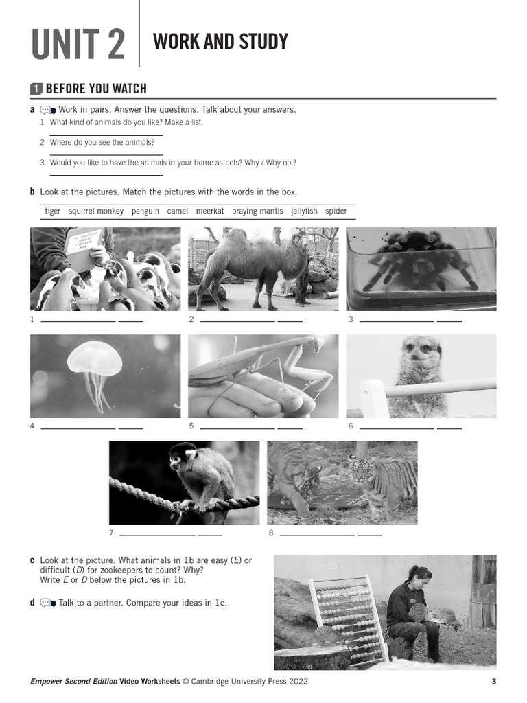 Empower Video Worksheets: Unit 2 | PDF | Zoology