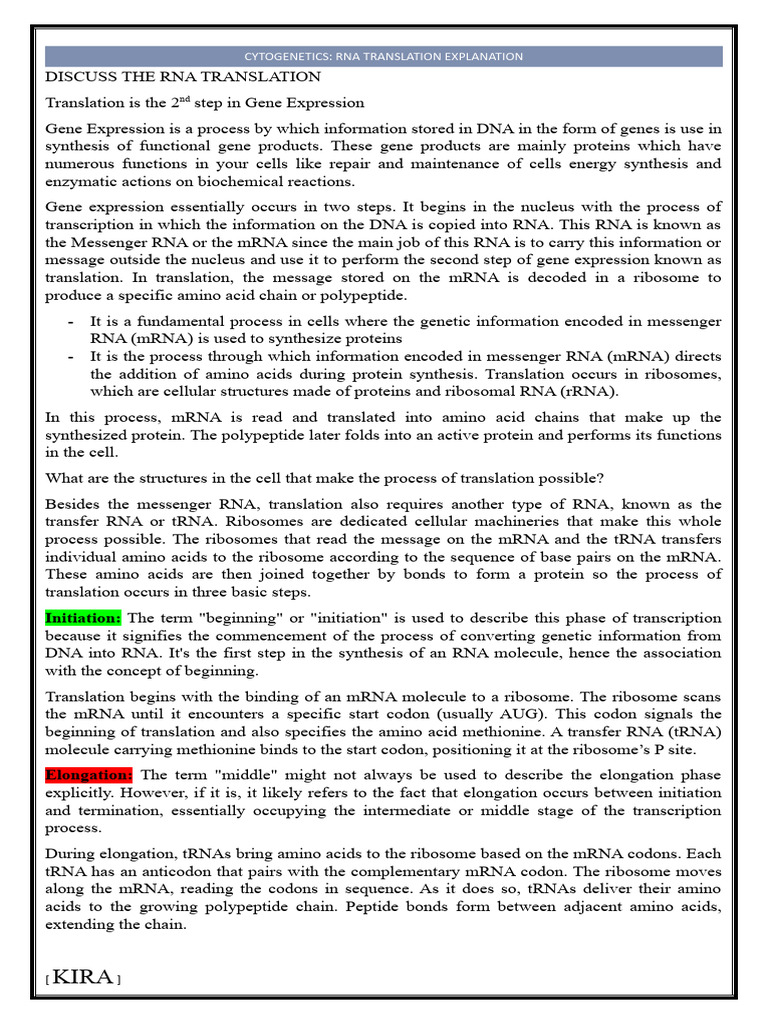 RNA Translation | PDF | Translation (Biology) | Ribosome