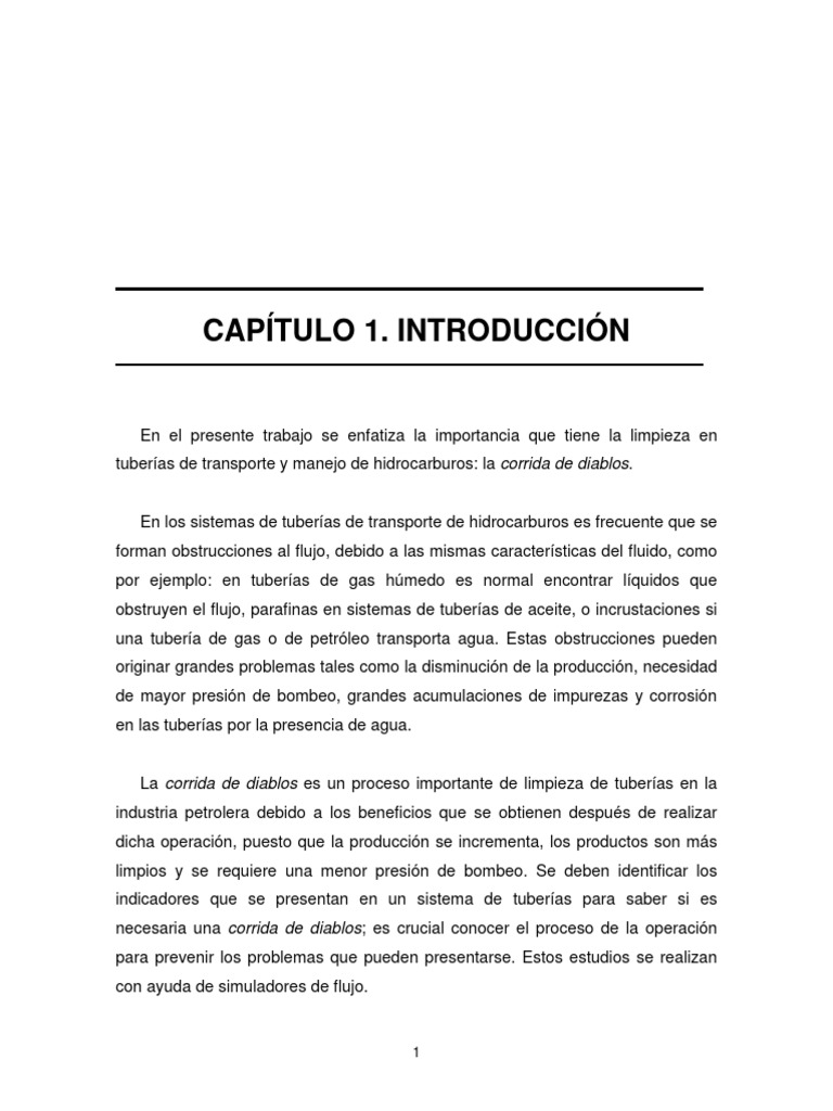 Capítulo 1. Introducción | PDF | Petróleo | Simulación