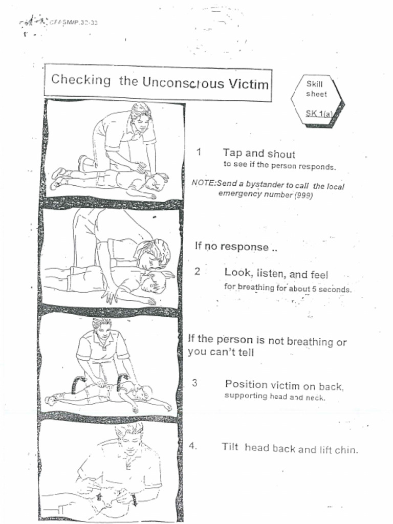 Practical Handout - Bfa | PDF