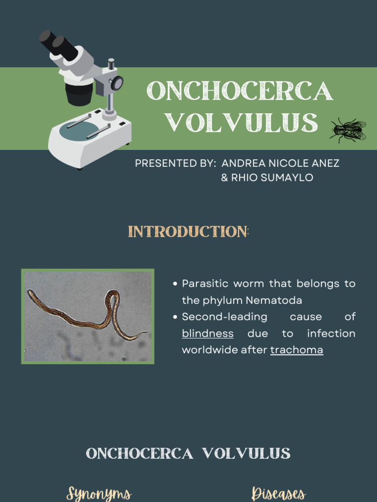 Onchocerca Volvulus Report | PDF | Microbiology | Diseases And Disorders