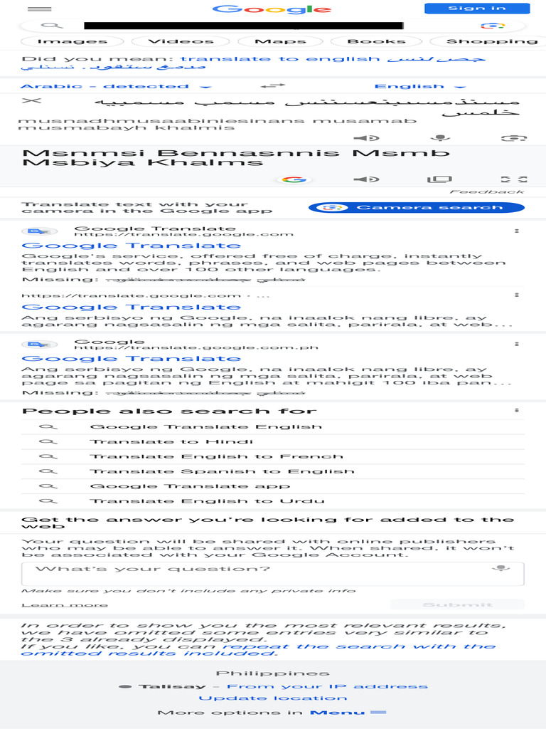 Google Translate Camera Features | PDF