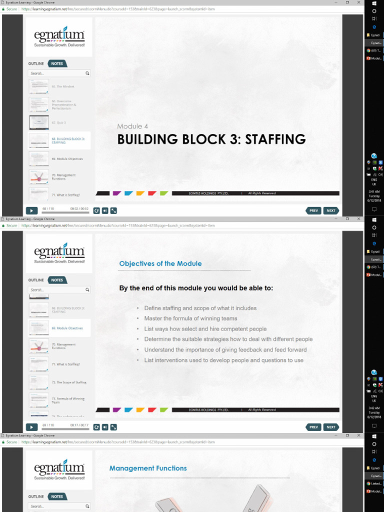 Module 4 Staffing | PDF