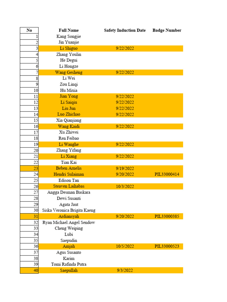 Badge& Safety Induction information-SINO | PDF