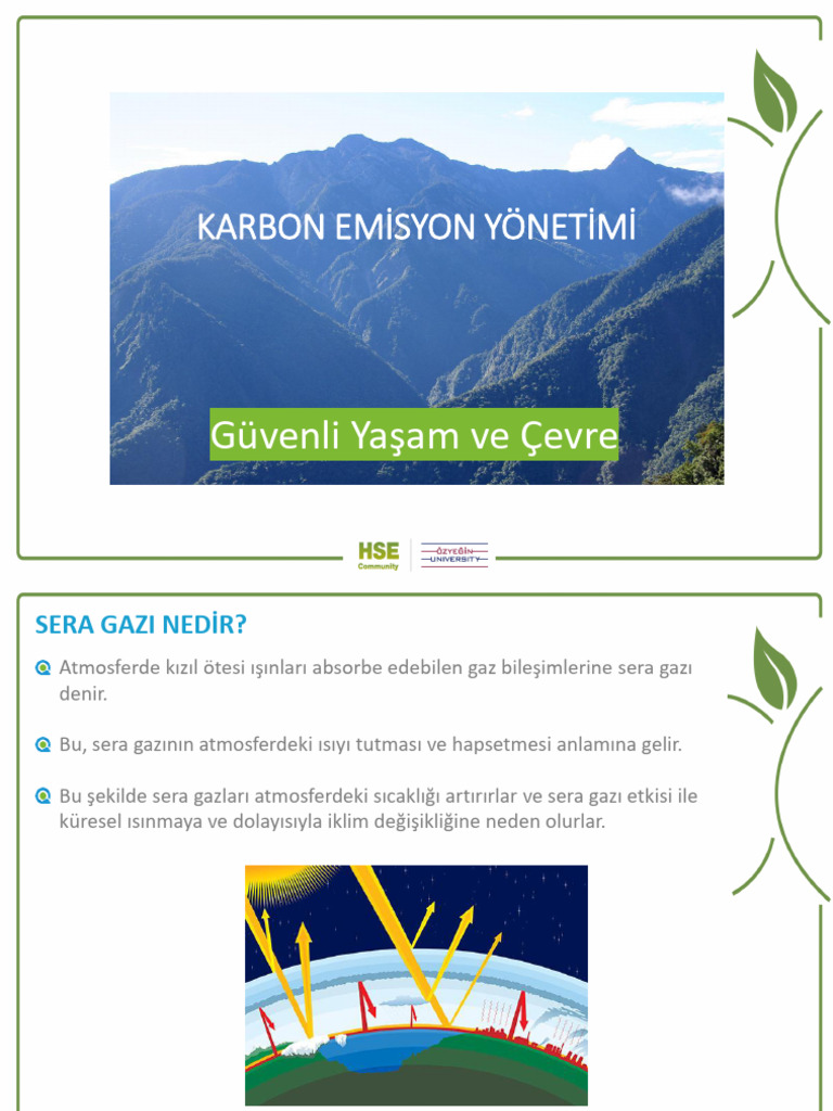 Karbon Emisyon Yönetimi | PDF