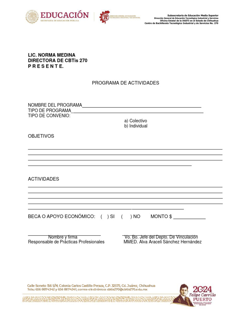 Programa de Actividades | PDF