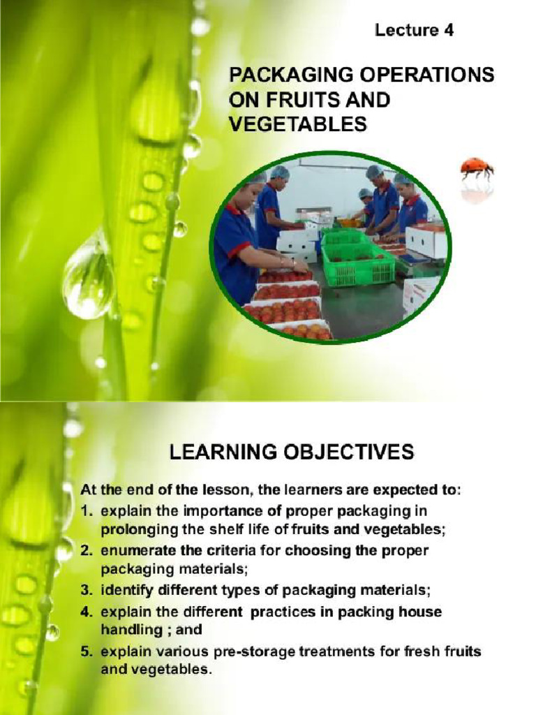 Lecture 4 Packaging Operations On Fruits and Vegetables | PDF