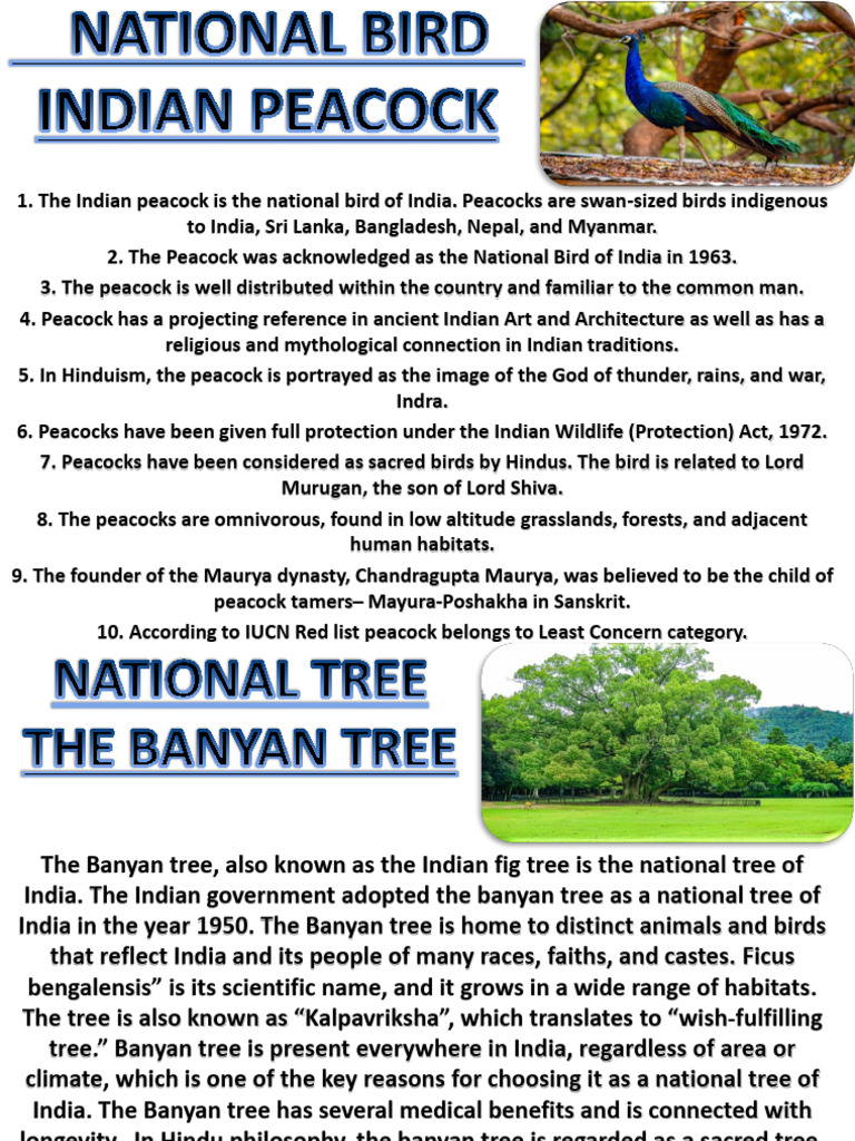 National Symbols | PDF