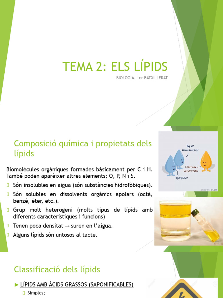 Tema 3. Els Lípids | PDF