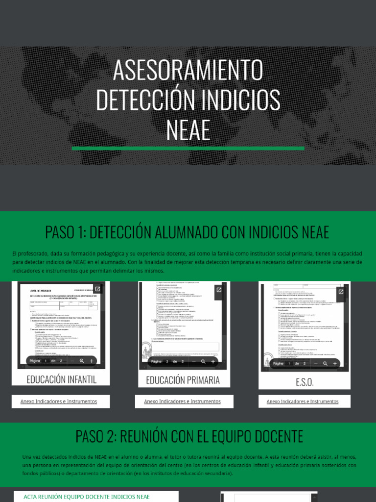 Asesoramiento Pasos Del Protocolo NEAE | PDF