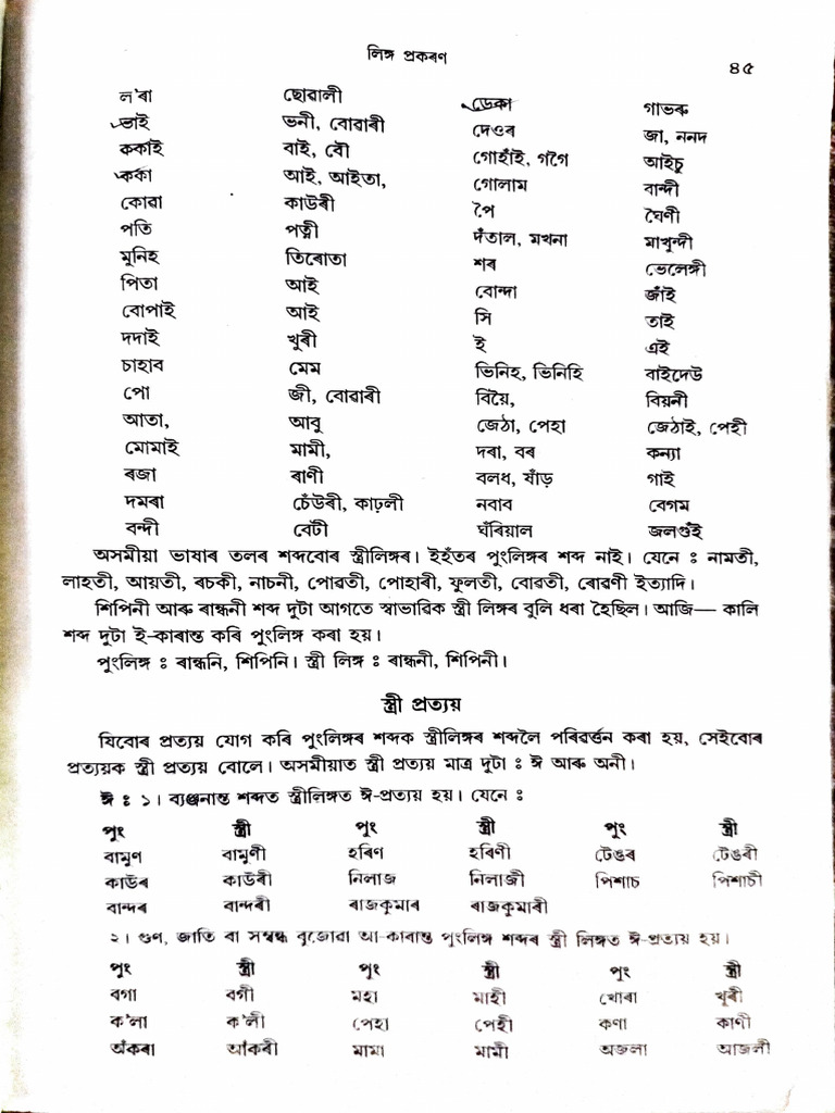 Assamese Grammar 1 | PDF