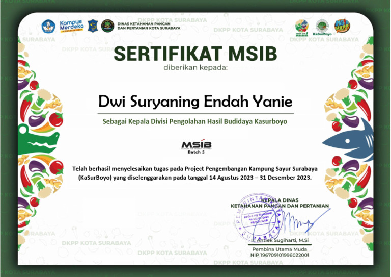 Sertifikat MSIB Batch 6 | PDF