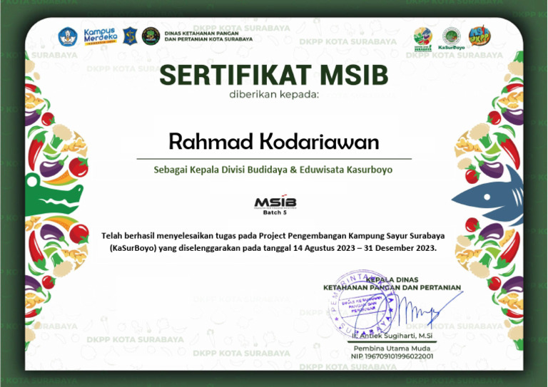 Sertifikat MSIB Batch 5 | PDF