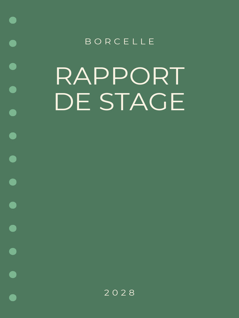 Rapport de stage professionnel Moderne Simple | PDF