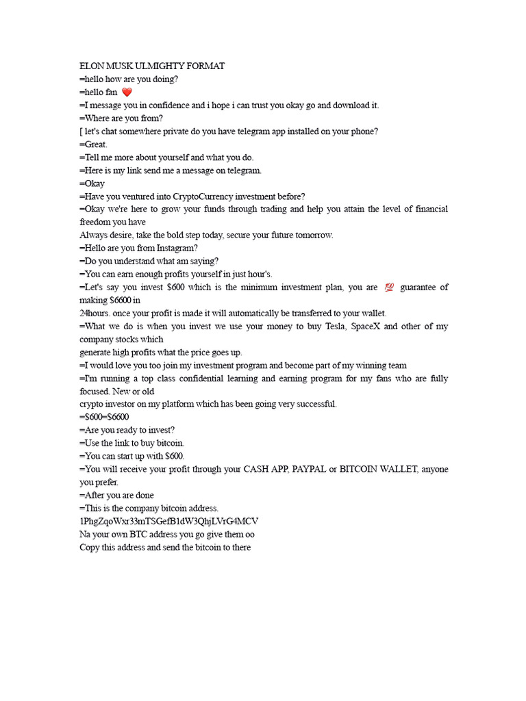 Elon Musk Format 2 | PDF