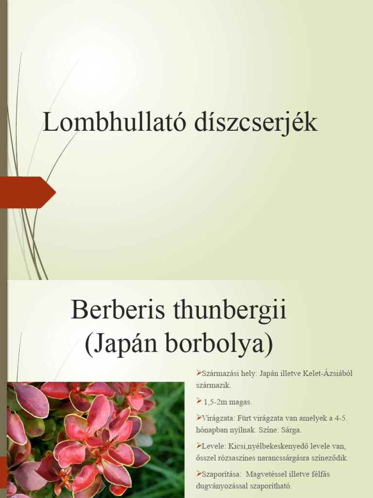 Lombhullató Díszcserjék | PDF