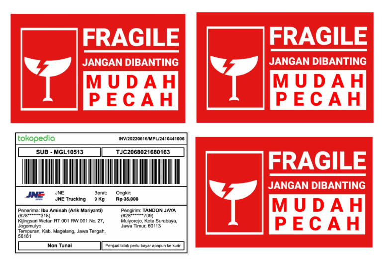 fragile | PDF