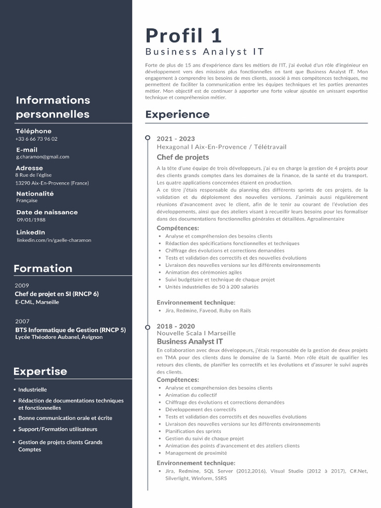CV Test Profil 1 | PDF