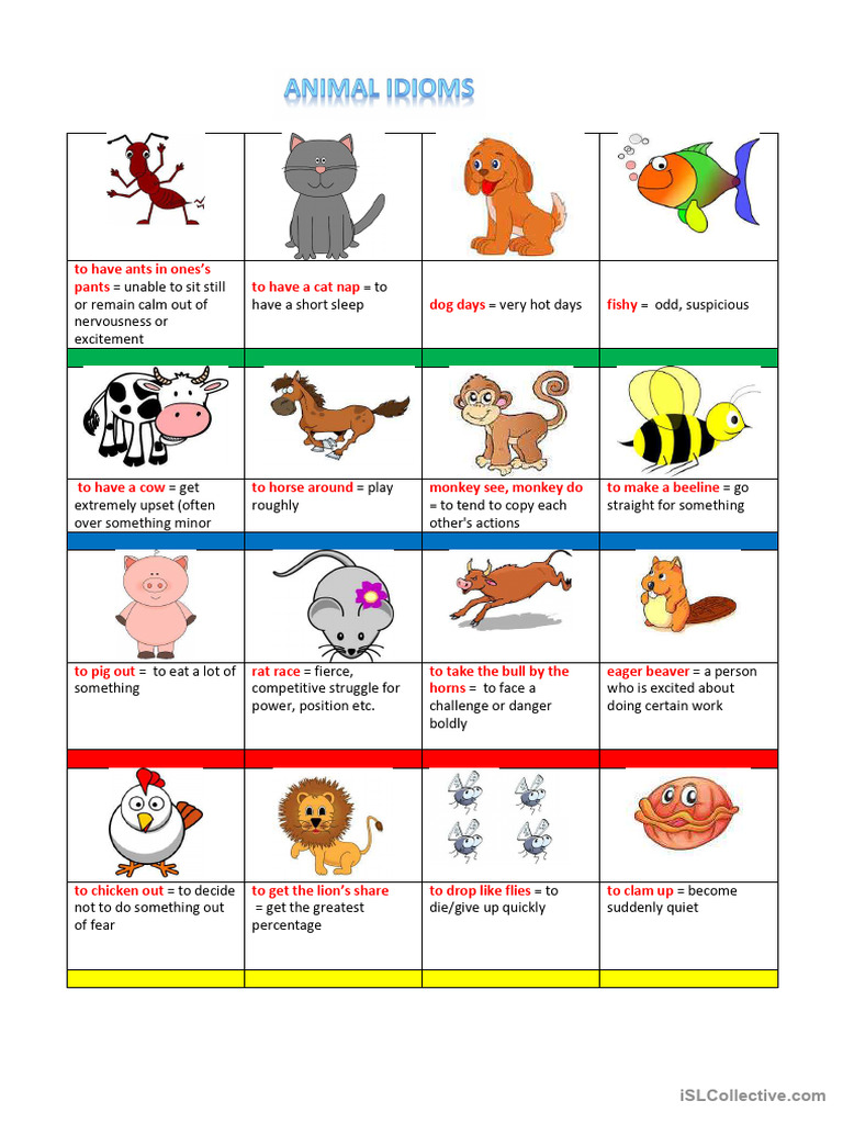 Animal Idioms | PDF