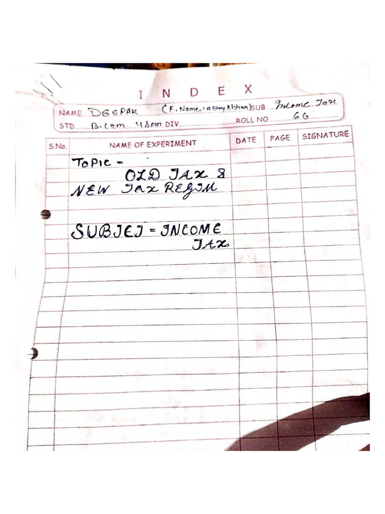 Income Tax Project Report | PDF