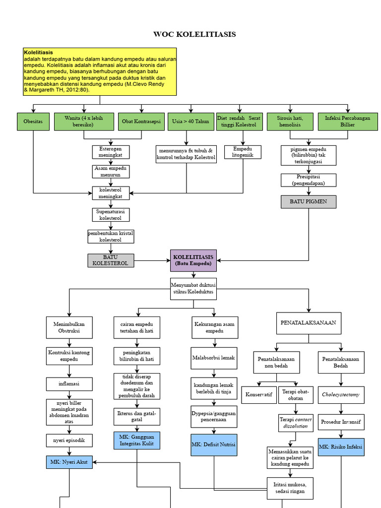 WOC Kolelitiasis | PDF