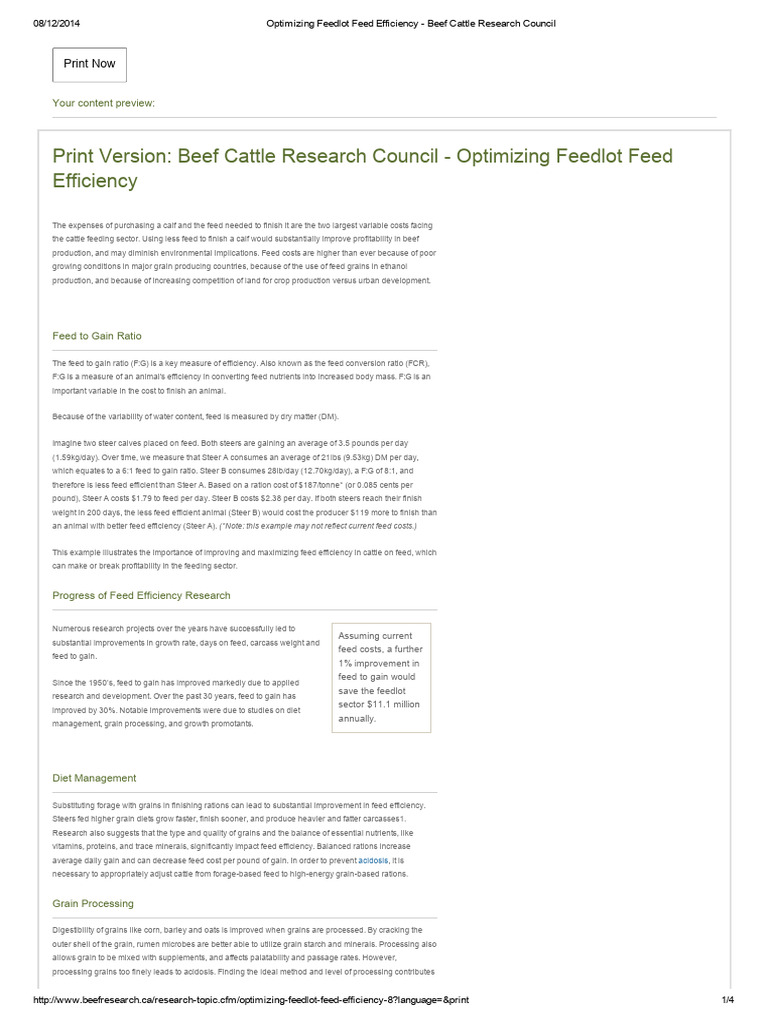 Optimizing Feedlot Feed Efficiency - Beef Cattle Research Council | PDF | Cattle