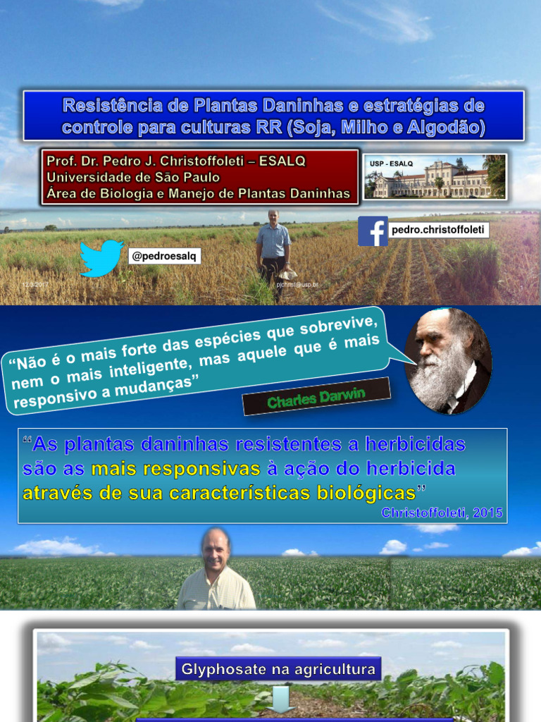 Manejo de Plantas Daninhas e Herbicidas | PDF | Agricultura