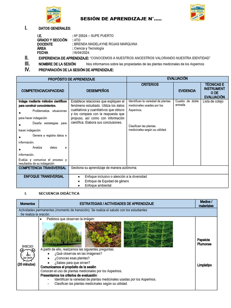 16-04 Sesión Las Plantas Medicinales-Cyt | PDF | Aprendizaje | Evaluación