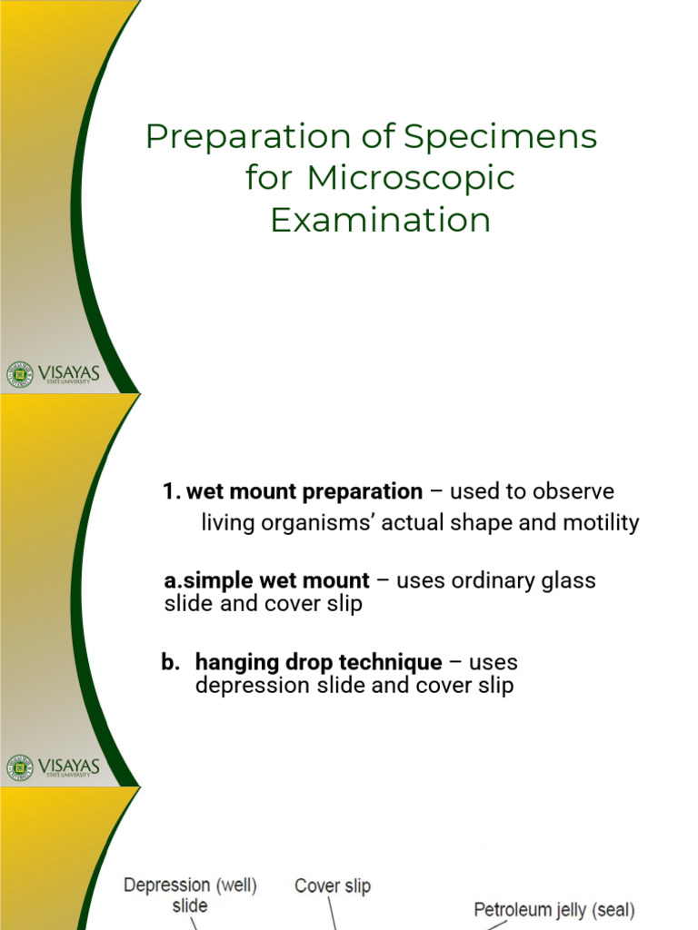 Lecture 4-Prep For Microscopic Exam | PDF | Staining | Gram Positive ...