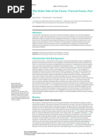 The Toldt Fascia | PDF | Abdomen | Digestive System
