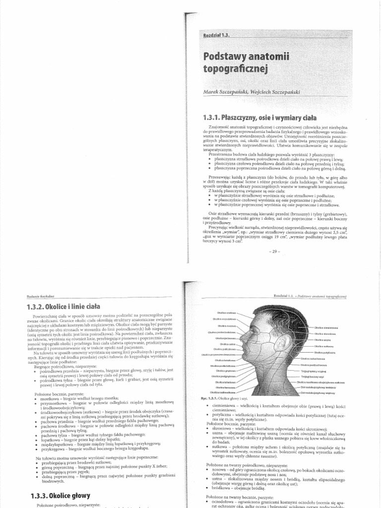 Podstawy Anatomii Topograficznej | PDF