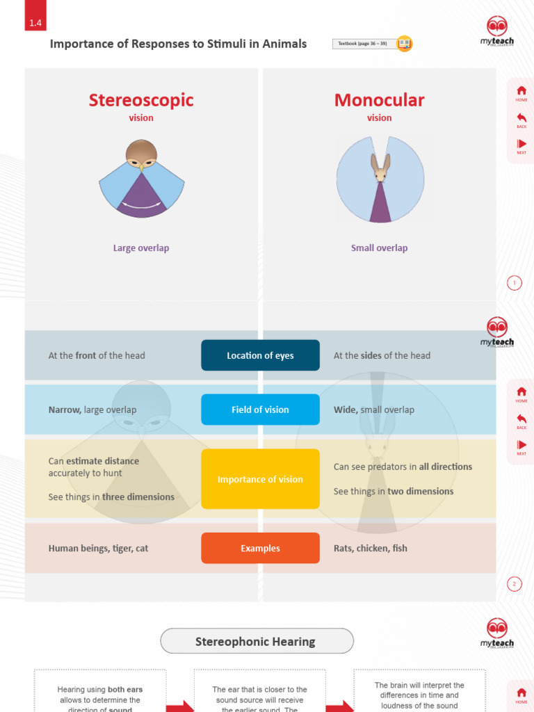 1.4 Importance of Responses To Stimuli in Animals | PDF | Sound | Hearing