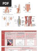 Using The Edinburgh Gait Score PDF | PDF | Foot | Anatomical Terms Of ...