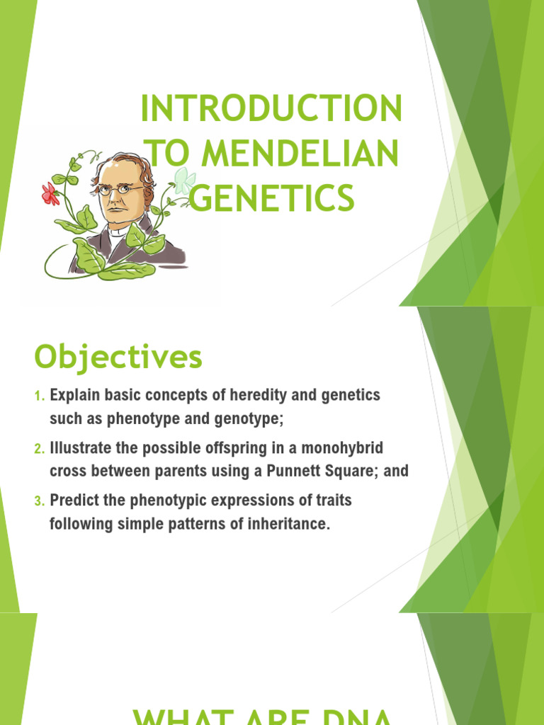 Introduction to Mendelian Genetics | PDF | Genotype | Dominance (Genetics)