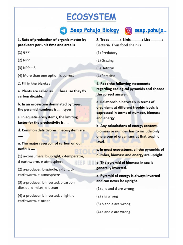 Ecosystem DPP by Seep Pahuja | PDF | Food Web | Ecosystem
