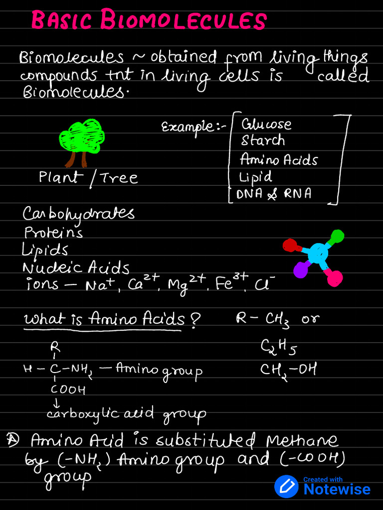 Basic Biomolecules | PDF