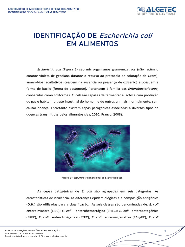 Indentificação de Escherichia Coli em Alimentos | PDF | Escherichia ...