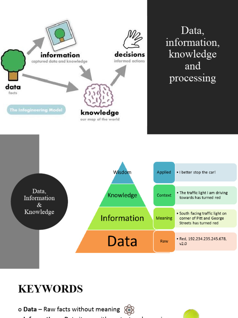 CH 1 Data, Information, Knowledge and Processing New Syllabus | Download Free PDF | Public Key ...