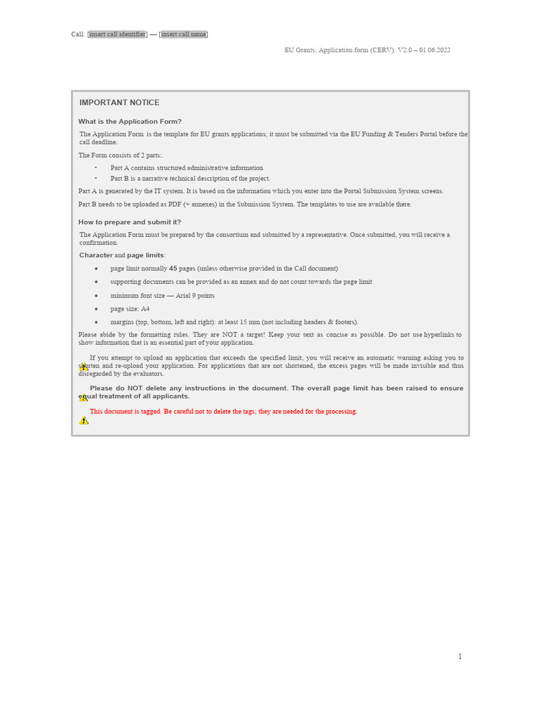 CERV Application Form Guidelines | PDF | Violence | Project Management