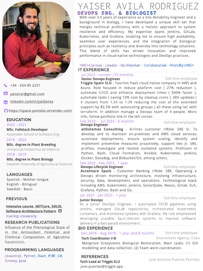 CV Yaiser Avila Rodriguez 04 24 | PDF | Computing | Information Technology