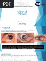 Clasificación y tratamiento del pterigión | PDF | Córnea | Oftalmología