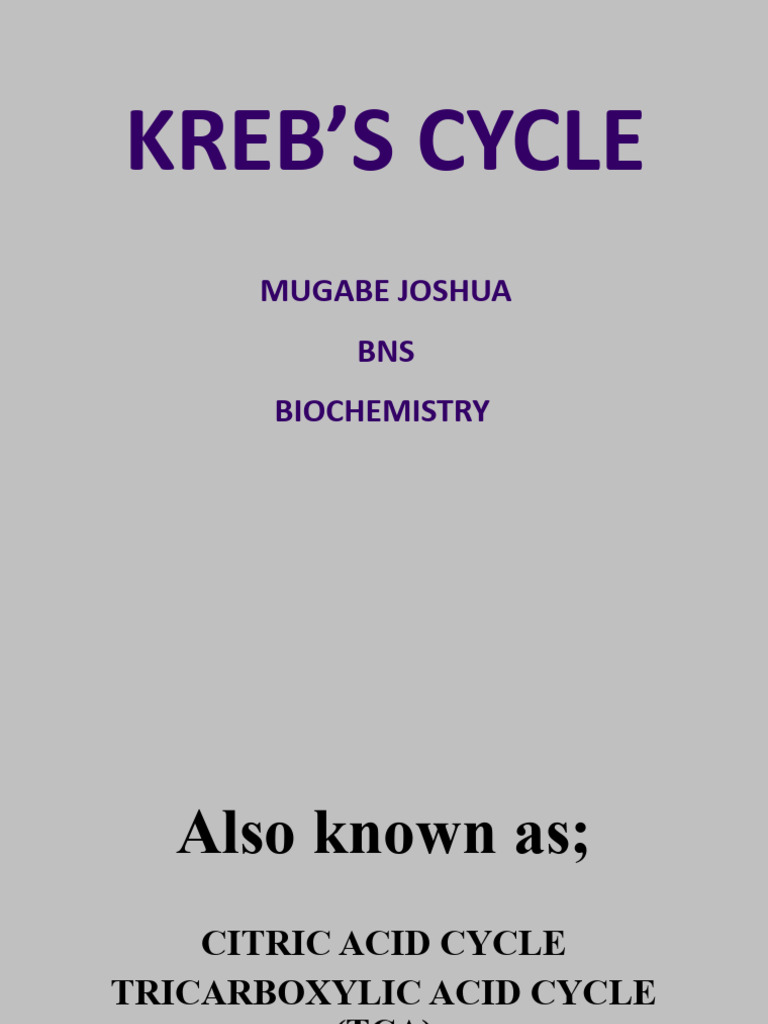Kreb's Cycle | PDF | Citric Acid Cycle | Chemistry