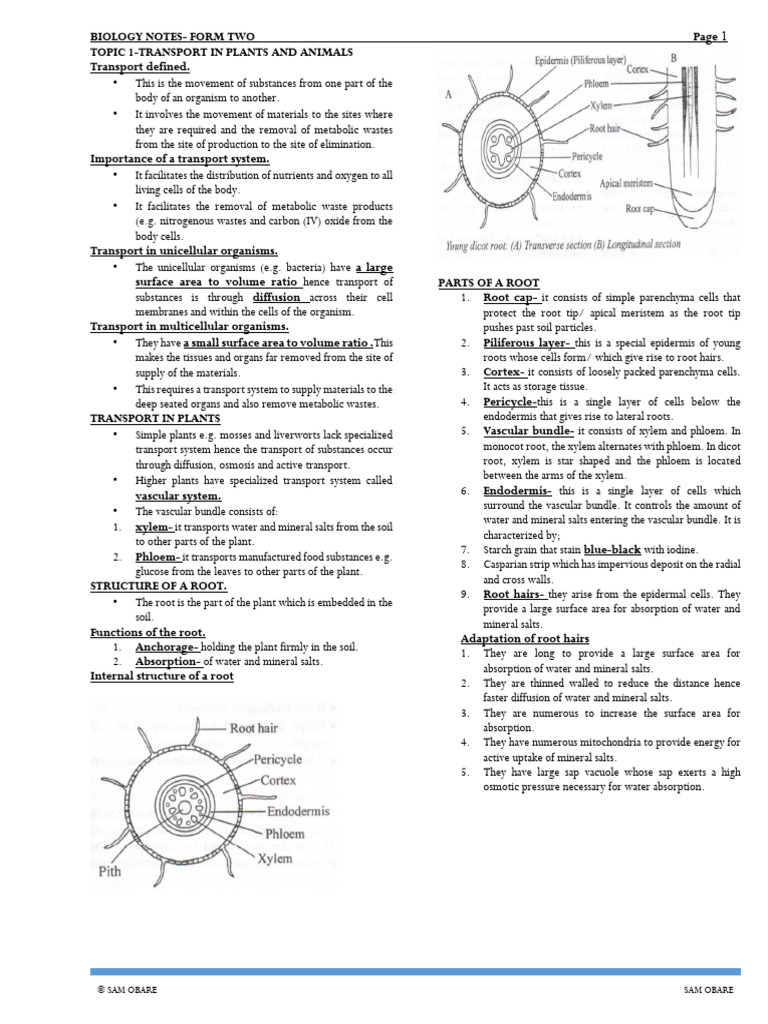 Form 2 Notes-1 | Download Free PDF | Plant Stem | Tissue (Biology)
