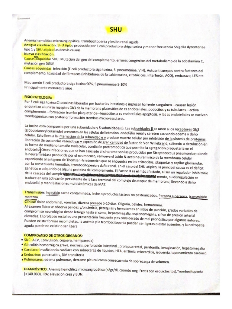 Anemia hemolítica microangiopática, trombocitopenia y lesión renal ...