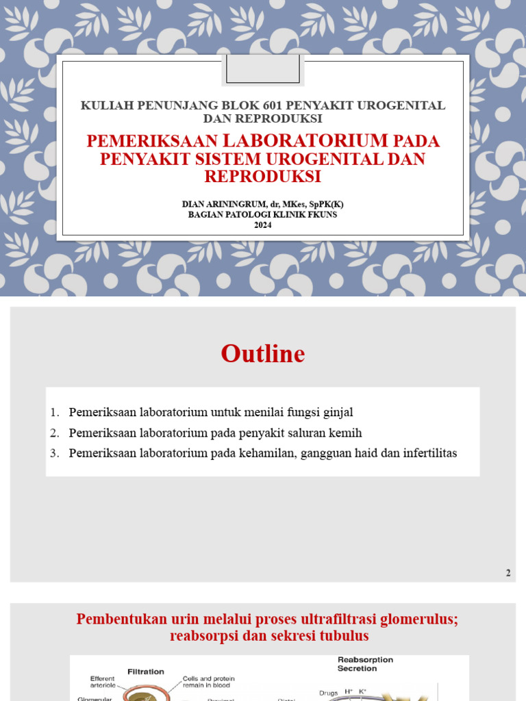 22 - Kuliah PK Blok Urogenital-Reproduksi 2024-dr Arin | PDF
