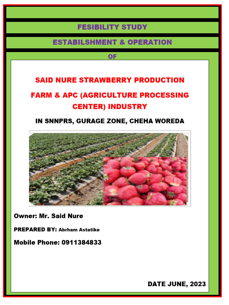Strawberry Processing Plant Feasibility | PDF | Agriculture | Net ...